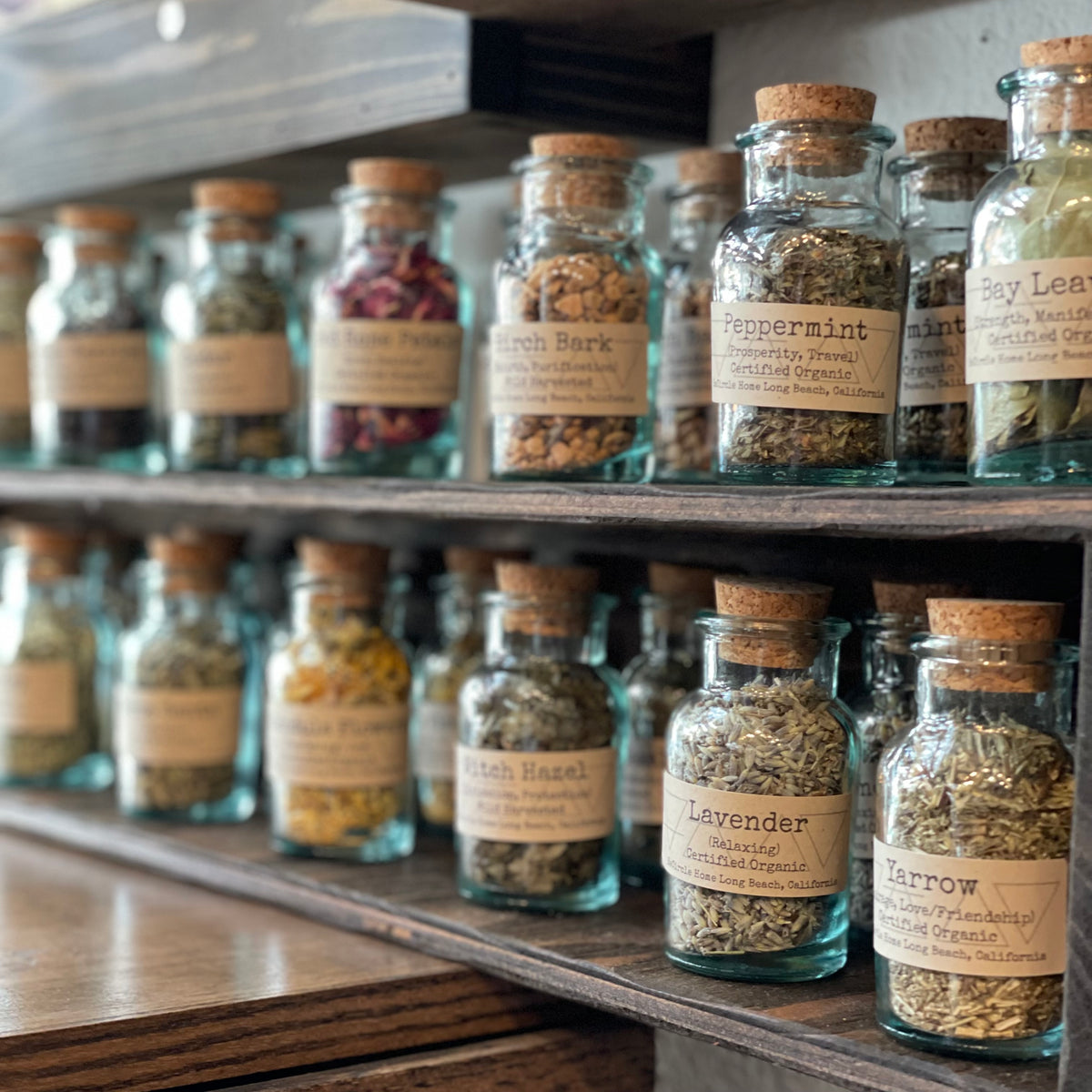Dried Herb Bottles – ReCircle Home